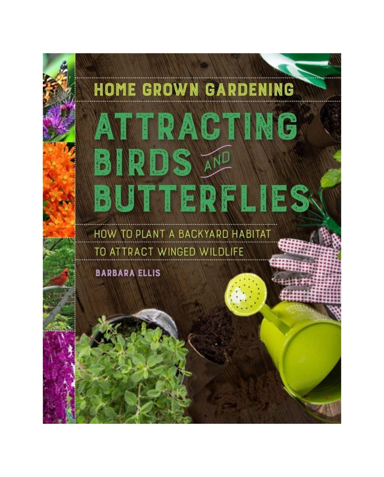 Attracting Birds and Butterflies - SID Business Portal