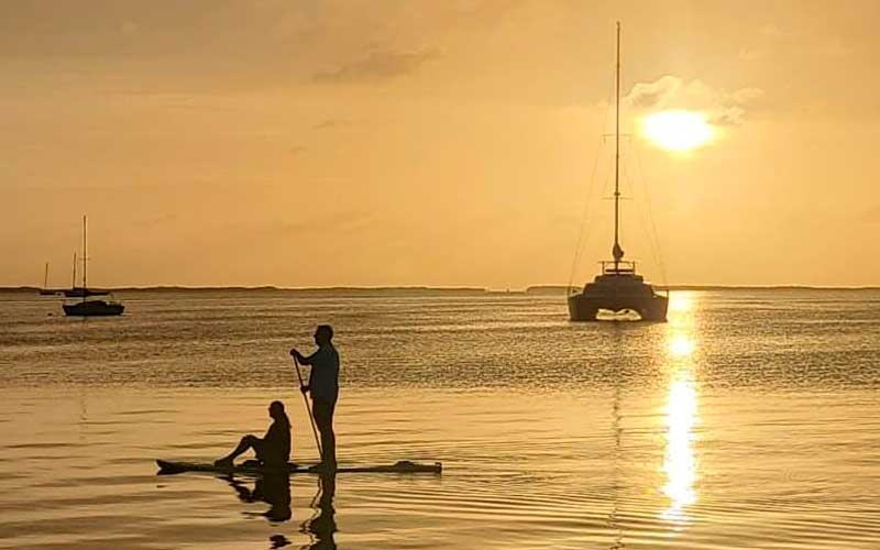 Reflexiones - SID Business Portal